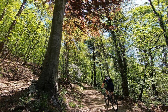 Mountain Bike tour in Spina Verde natural park - Key Points