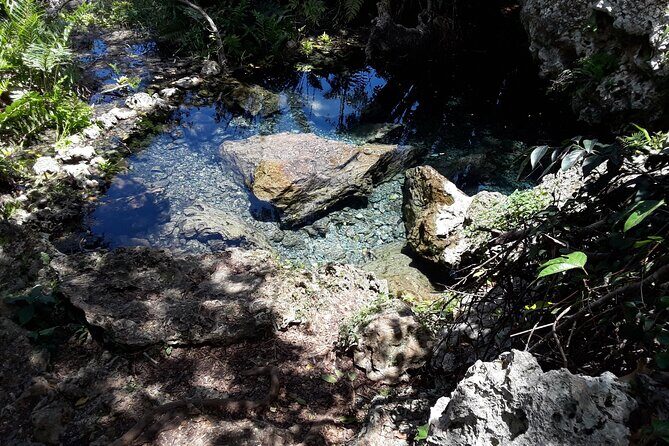 Mountain Bike tour to a Pristine Spring and Cave - The Sum Up