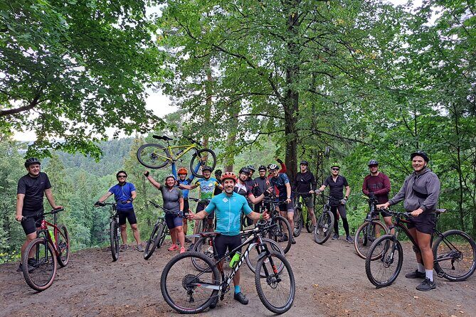 Mountain Bike Tour to Pavilniai Regional Park - Why Choose This Mountain Bike Tour?