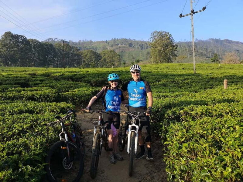 Mountain biking around Tea Trails Tour in Kandy - What to Expect on the Day