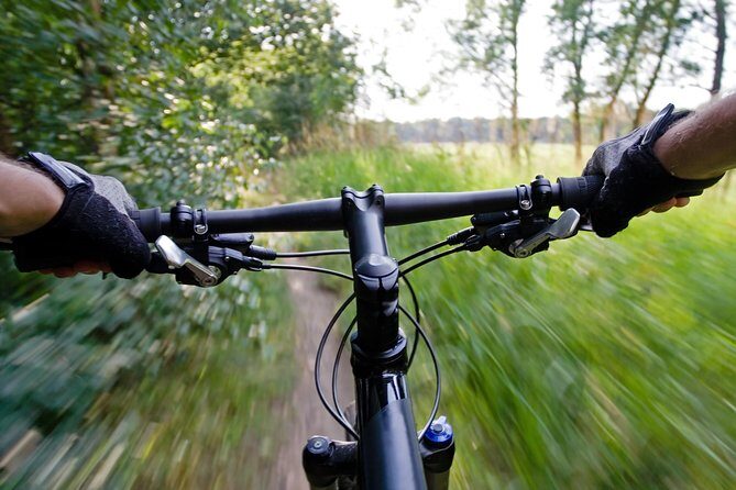 Mountain Biking Small-Group in Stockholm Forests for Beginners - The Value of Included Extras