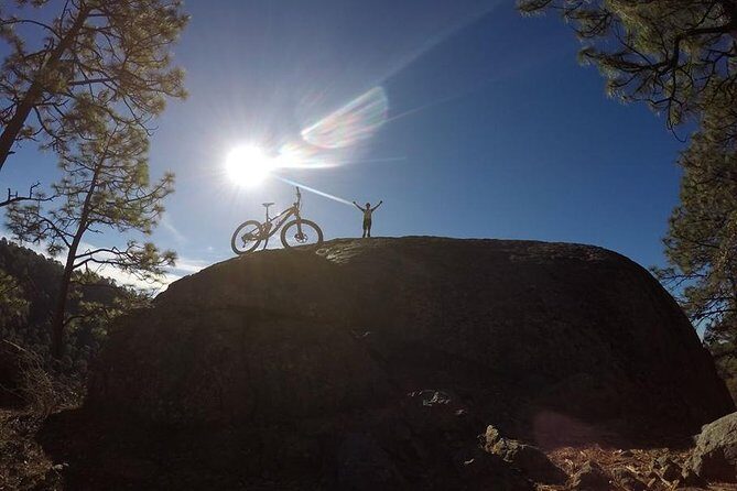 Mountain Biking Tour at La Primavera Forest - A Hands-On Look at the Mountain Biking Tour at La Primavera Forest