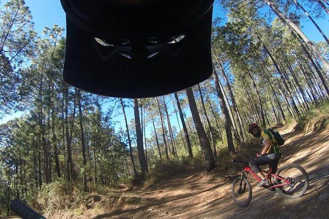 Mountain Biking Tour at La Primavera Forest - What to Expect from the Experience