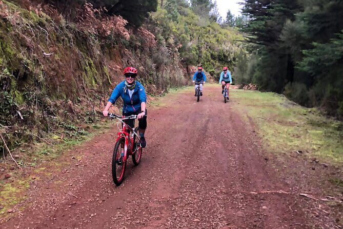 Mountain Biking Tour - Beginner Easy - Why This Tour Offers Great Value