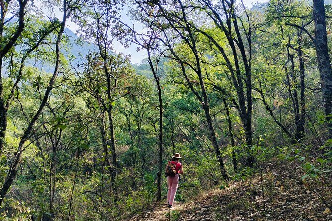 Mountain Hike & Rituals - Exploring the Mountain Hike & Rituals Tour in Oaxaca