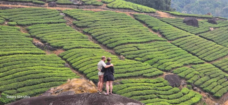 Mountain hiking in Munnar (Half day ) - Authentic Experiences and Customer Reviews