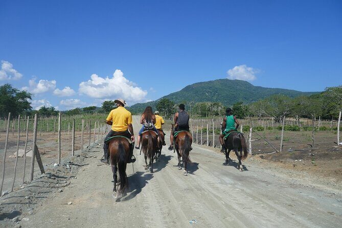 mountain horse back riding - An In-Depth Look at the Mountain Horseback Riding Tour