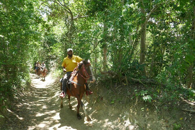 mountain horse back riding - Final Thoughts: The Value of Mountain Horseback Riding in Puerto Plata
