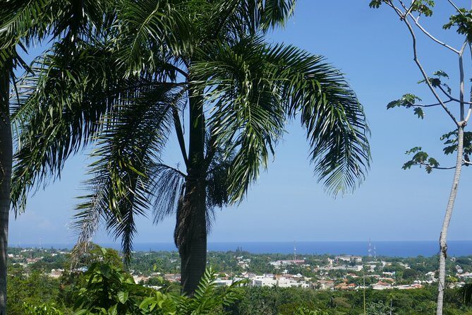 mountain horse back riding - FAQ