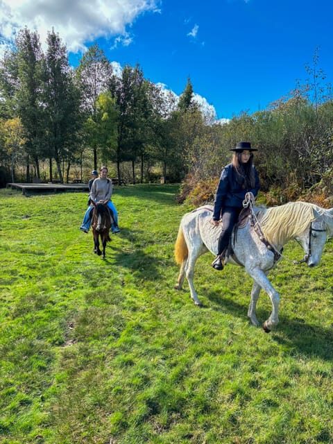 Mountain Horseback Ride, Lunch, Wine Tasting - Discovering the Douro Valley: An Authentic Horseback Ride with Lunch and Wine