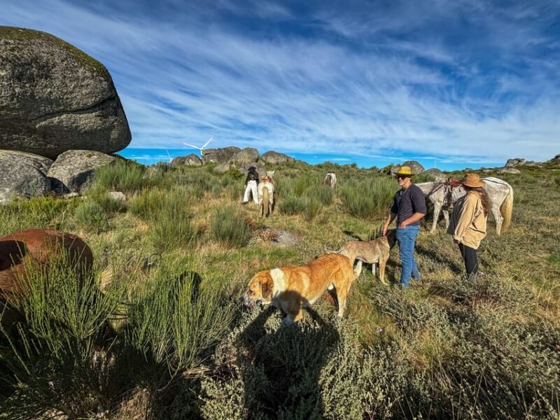 Mountain Horseback Ride, Lunch, Wine Tasting - An In-Depth Look at the Itinerary and Experience