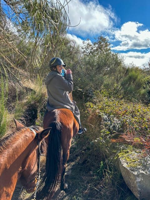Mountain Horseback Ride, Lunch, Wine Tasting - Practical Details and Considerations