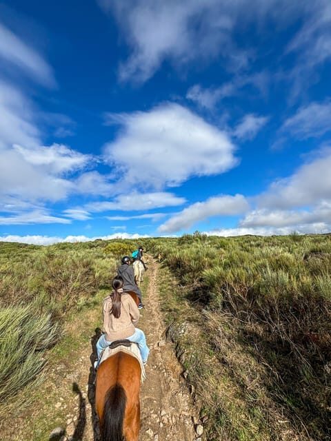 Mountain Horseback Ride, Lunch, Wine Tasting - Why Choose This Experience?