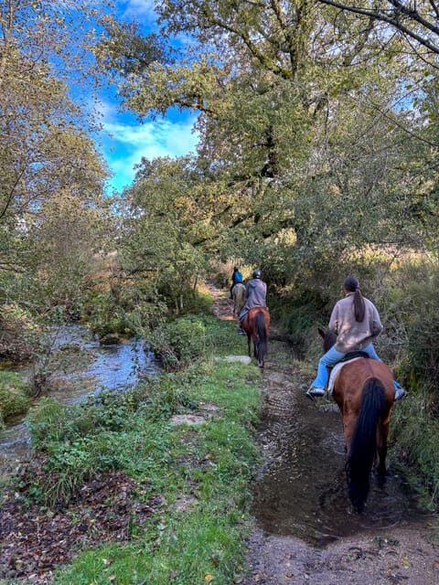 Mountain Horseback Ride, Lunch, Wine Tasting - The Sum Up: Who Is This Tour Best For?