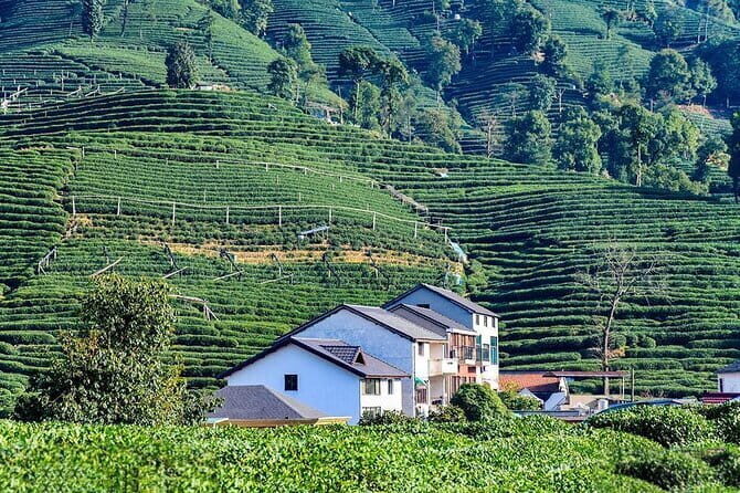 Mountain Lake Hiking -1-Day Scenic Trailwalking in Anhui Province - Practical Tips for Future Travelers