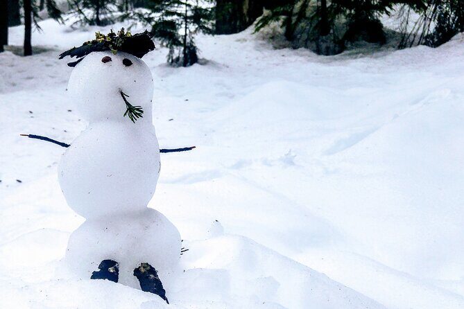 Mountain Snowshoeing & Photography - Key Points