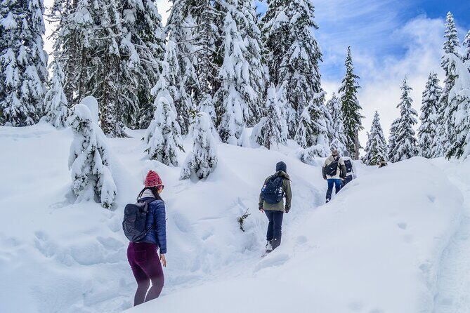 Mountain Snowshoeing & Photography - Authentic Experiences and Real Reviews