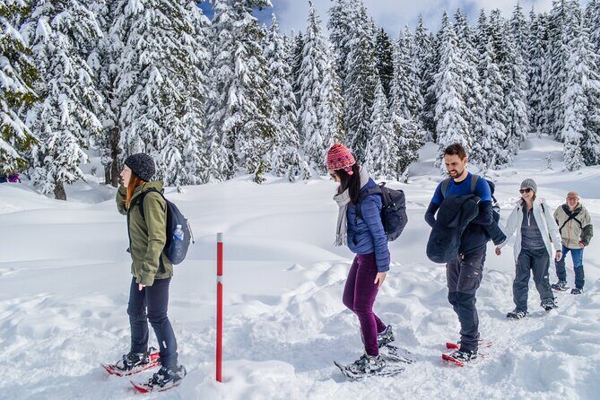 Mountain Snowshoeing & Photography - Frequently Asked Questions