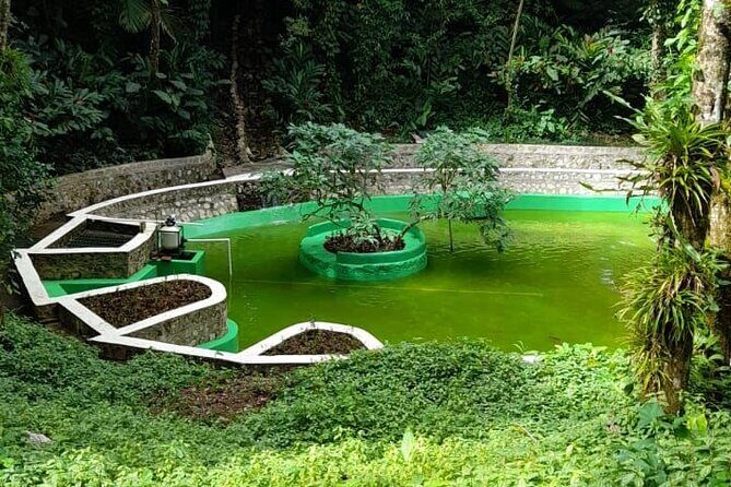 Mountain View and City Tours - Who Should Consider This Tour?