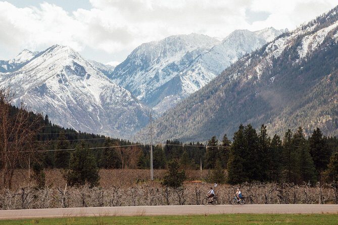 Mountain View E-Bike Experience - The Value of the Experience