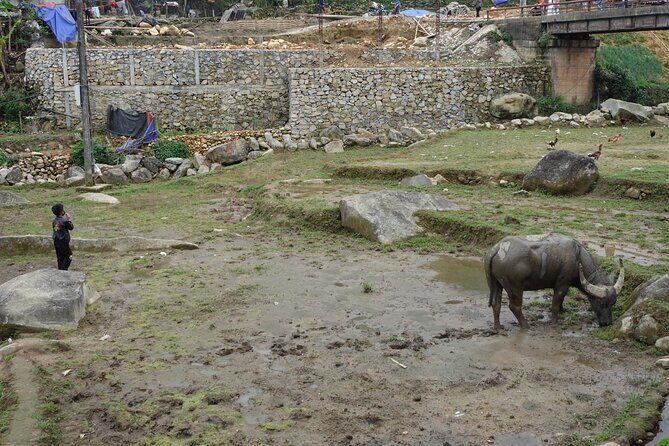 Mountain views and villages trek 1 Day - Final Thoughts: Is This Tour Worth It?