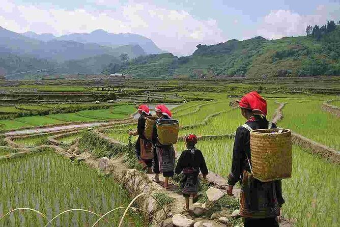 Mountain views & Muong Hoa valley trek Private 2 days 1 night tour - Authentic Local Experience at Its Best