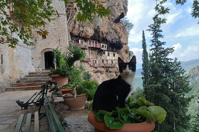 Mountain Villages of Peloponnese, Monasteries and Lousios River Private Day Trip - Key Points
