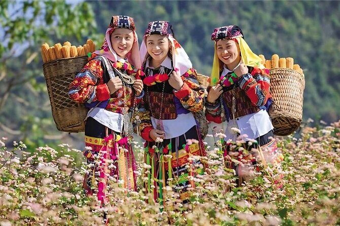 Mountains Valleys and Culture Explore Ha Giang from Hanoi - The Itinerary in Detail