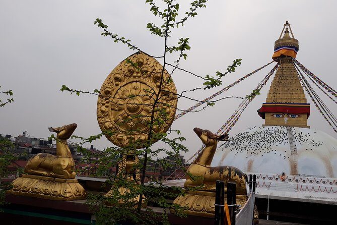 Mountains, Wildlife and Culture Tour - Introduction: A Well-Rounded Nepal Experience