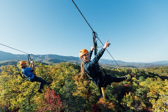 Mountaintop Zipline 2-Hours Activity - The Itinerary: What to Expect