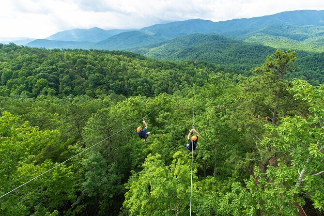 Mountaintop Zipline 2-Hours Activity - Price and Value