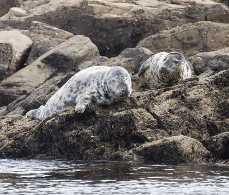 Mounts Bay, Penzance Boat Trip - The Practicalities: Schedules, Pricing, and Accessibility