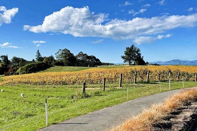 Moutere Ebike Wine and Food One Day Self Guided Tour - Authenticity and Value