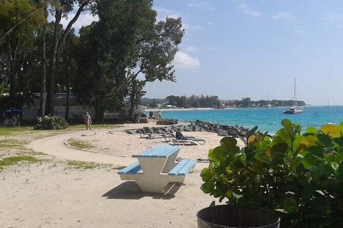 Mouthwatering Foodie Drive Tour in Barbados - Who Will Love This Tour?