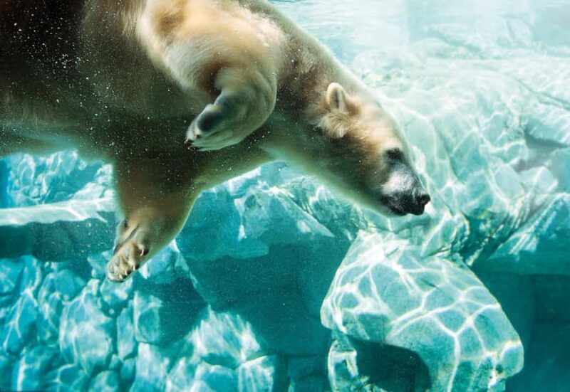 Movie World, Sea World, & WetnWild Multi Park 1-Day Pass - Final Thoughts