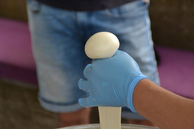 Mozzarella Class or Pizza Class - The Itinerary: What to Expect from Start to Finish