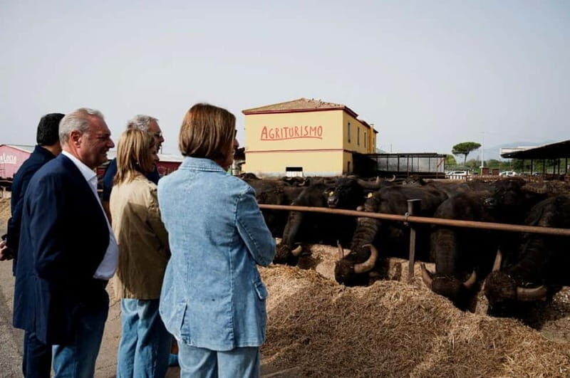 Mozzarella experience: discovering the art of cheese making - Tasting Local Flavors: From Mozzarella to Ricotta