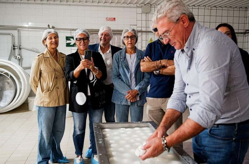 Mozzarella experience: discovering the art of cheese making - What Makes This Tour Stand Out?