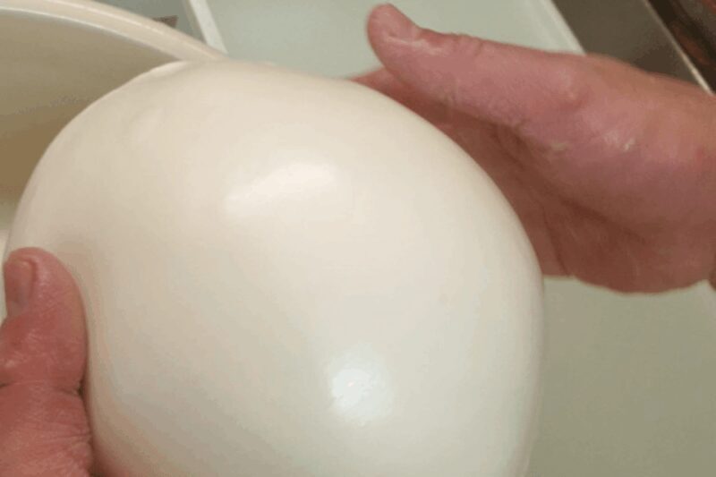 MOZZARELLA WITH YOUR OWN HANDS, EXPERIENCE ON THE FARM - Key Points
