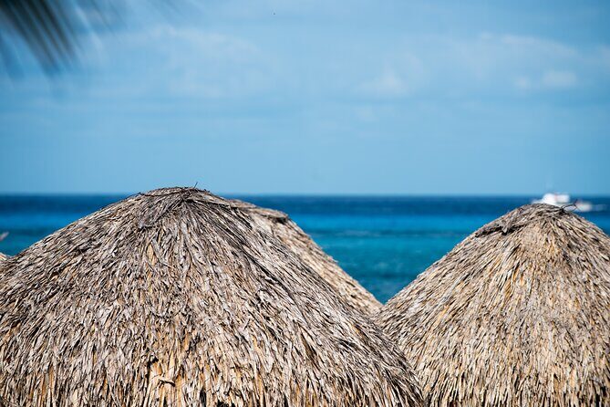 Mr. Sanchos Beach Club All-Inclusive Day Pass - Practical Tips for Your Visit