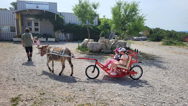 mrika (near Rijeka/Krk/Crikvenica) Donkey Farm Family Fun - What to Expect at the Donkey Farm