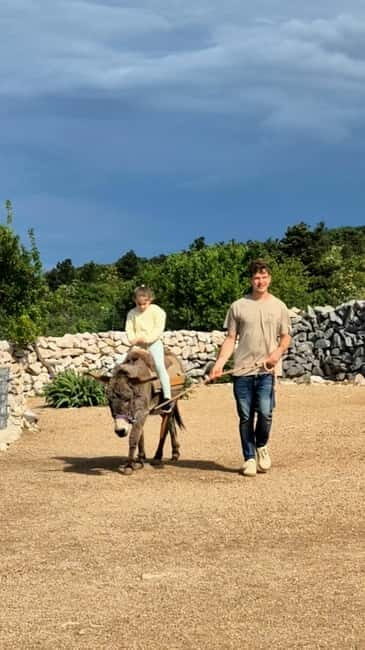 mrika (near Rijeka/Krk/Crikvenica) Donkey Farm Family Fun - Frequently Asked Questions
