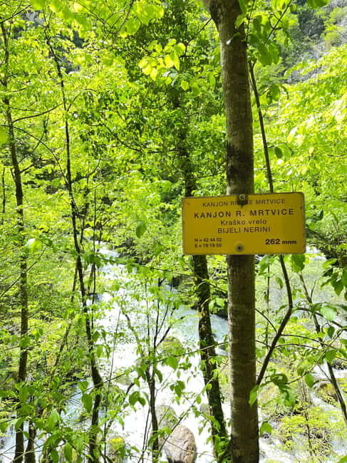 Mrtvica Canyon: A Trail Carved by the Yugoslav Army - Authentic Montenegrin Wilderness and Legends