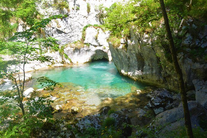 Mrtvica Canyon Hiking Tour - Authentic Experiences and Reviewer Insights