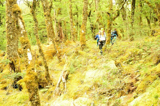 Mt Aspiring Full Day Canyon ex Queenstown or Wanaka - The Cost and What You’re Getting