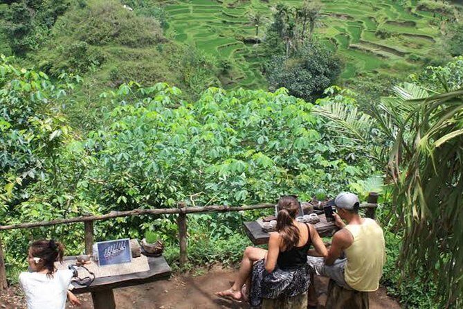 Mt. Batur Trekking With Hot Spring & Guide - Whats Included and Whats Not