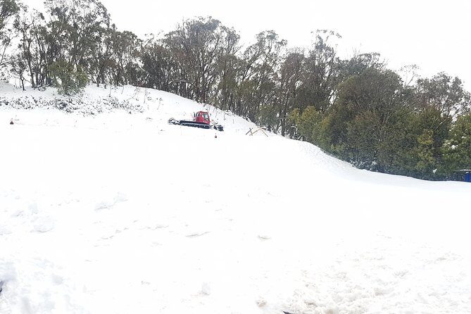 Mt Buller Day Trip from Melbourne - Stop 4: Scenic Return to Melbourne