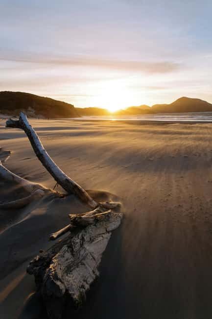 Mt. Eden, Piha Beach & Karekare Waterfalls - PRIVATE TOUR - Who Is This Tour Best For?
