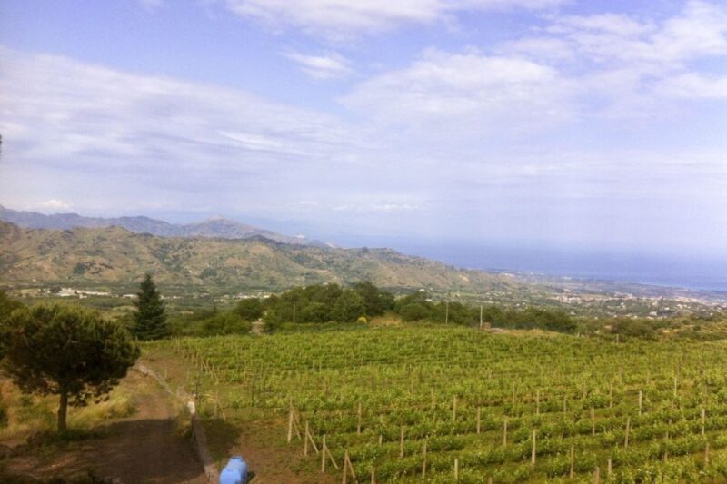 Mt. Etna Private Tour with Food and Wine Tasting - Savoring the Flavors: Wine and Food Tasting