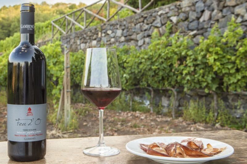 Mt. Etna Private Tour with Food and Wine Tasting - What the Reviews Say